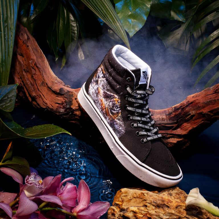 Vans x Project CAT Release Date | Nice Kicks