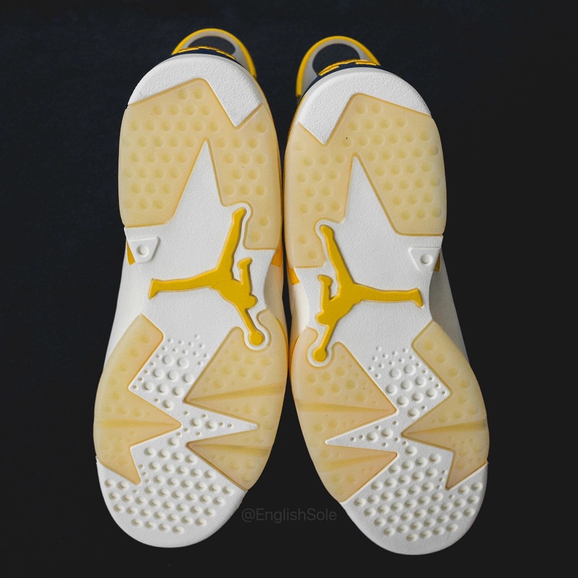 Air Jordan 6 “Michigan” PE Release Date | Nice Kicks
