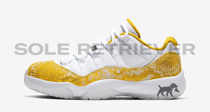 Chris Paul Debuts New Air Jordan 11 PE | Nice Kicks