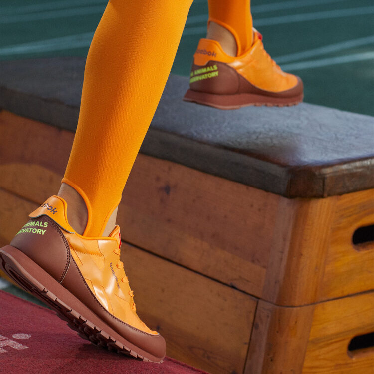 The Animals Observatory x Reebok Capsule | Nice Kicks