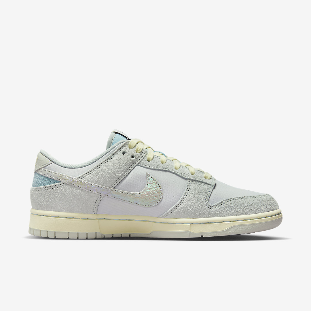 Nike Dunk Low “Chinook Salmon” DV7210-001 | Nice Kicks
