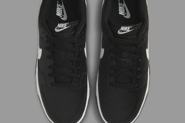 Nike Dunk Low DV0831-002 | Nice Kicks