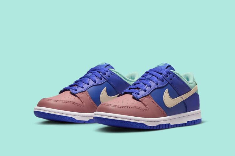 Nike Dunk Low GS "Salmon Toe" DZ2873-400 | Nice Kicks
