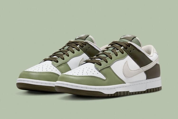 Nike Dunk Low FN6882-100 | Nice Kicks