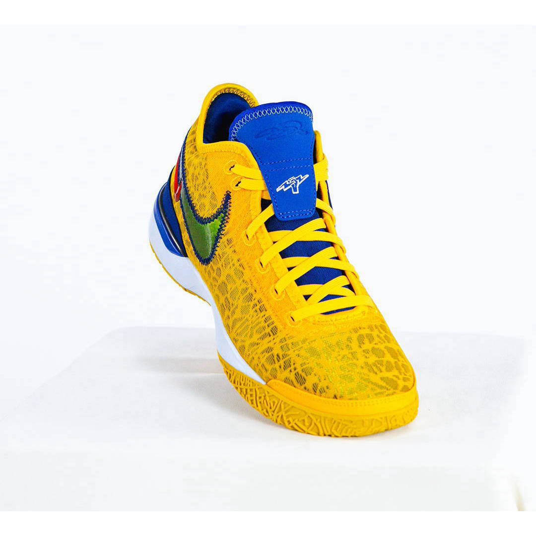 Titan x Nike LeBron NXXT Gen "Titan Hoops Fair" DZ2916-700 | Nice Kicks