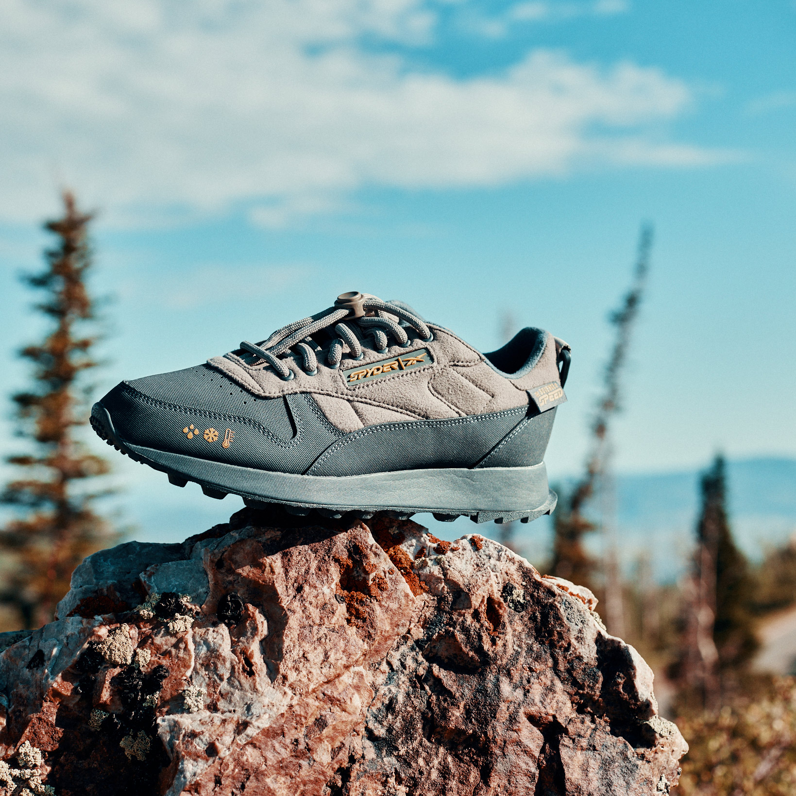 Spyder x Reebok FW23 Collection | Nice Kicks
