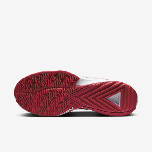 Nike Zoom Freak 5 “All-Star” FV1933-600 | Nice Kicks