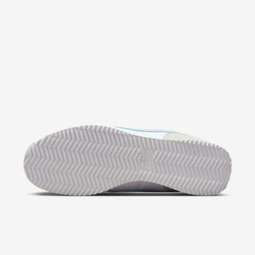 Nike Cortez DZ2795-100 | Nice Kicks